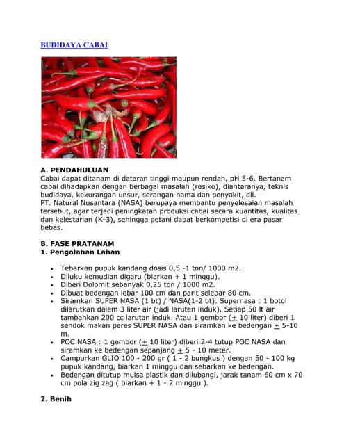 Teknis budidaya mentimun | PDF