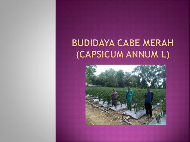 CCR mempunyai kepanjangan dari Central Control Room, Central Control ...