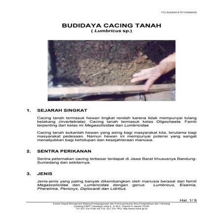 Budidaya cacing tanah | PDF