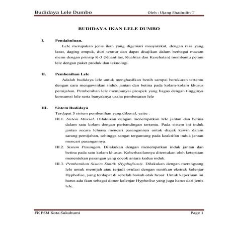 Budidaya Ikan Lele | PDF