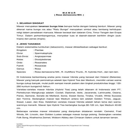 Powerpoint bunga mawar | PPTX