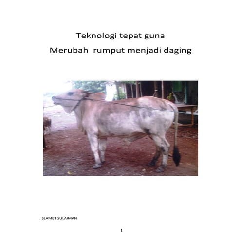 Budidaya Sapi | PDF