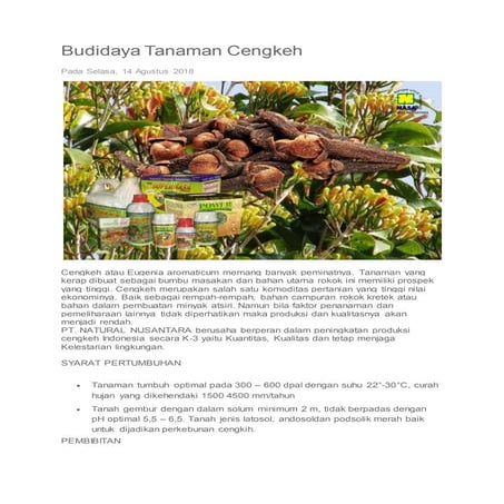 Budidaya tanaman cengkeh | DOCX