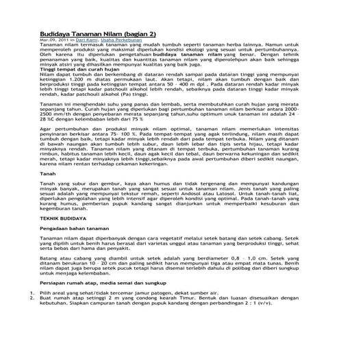 Budidaya Tanaman Nilam Docx