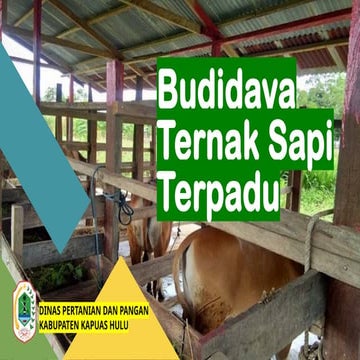 Budidaya sistem Ternak Sapi Terpadu.pptx