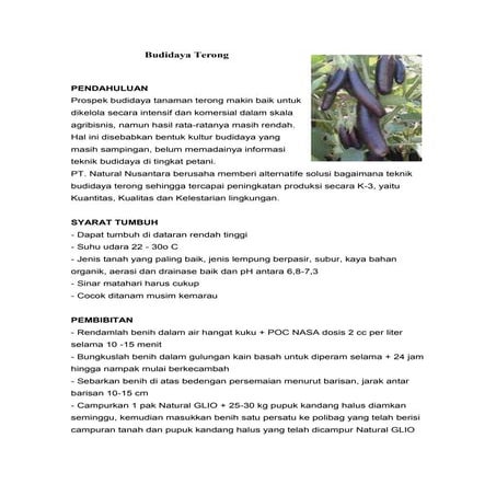 Budidaya terong | PDF