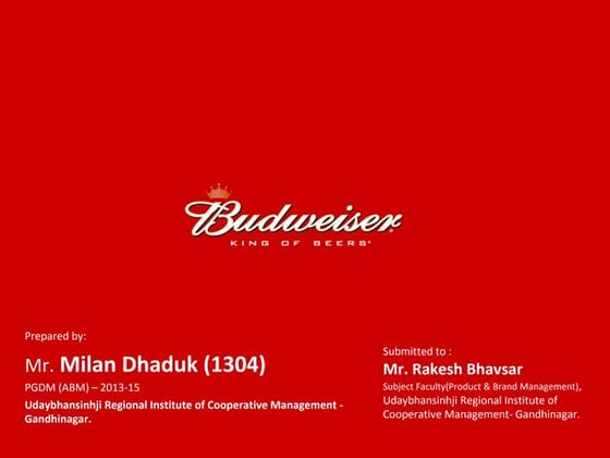 Organizational Analysis-Budweiser | DOCX