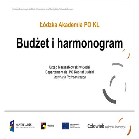 Budzet | PDF