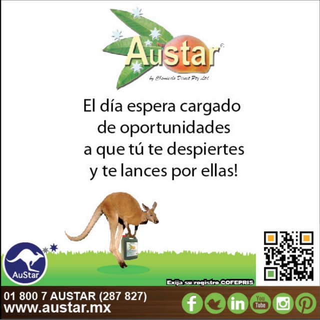 AuStar Mexico | PDF