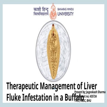 buffalo.pptx efh [ehg ewg weguj fuvherughjfnfjjv erw[ werogh ifvnn ufvh ...