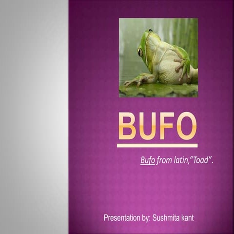 Zoology(External Features of the Frog & Buccal Cavity) | PPTX