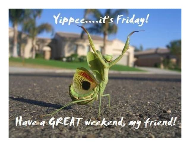Yippie It S Friday