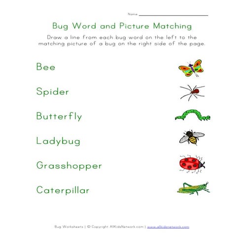 Bug worksheet-matching | PDF