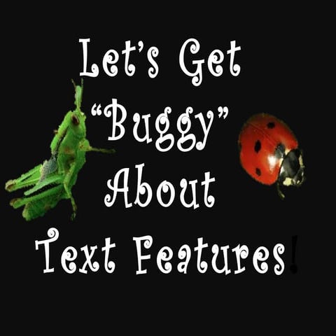 Buggy text features | PPT
