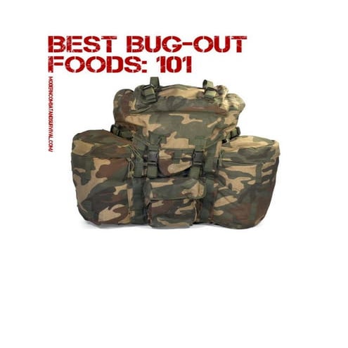Best Bug-out Foods 101 | PDF