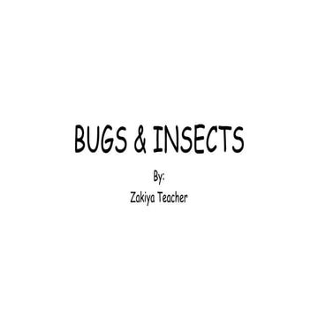Bugs & Insects | PPT