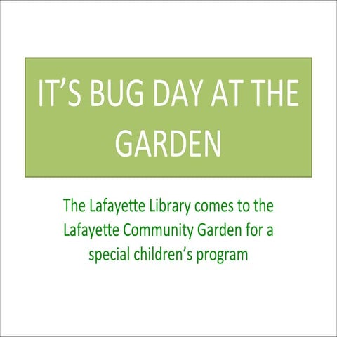 Bug slide show reduced 3 | PPT