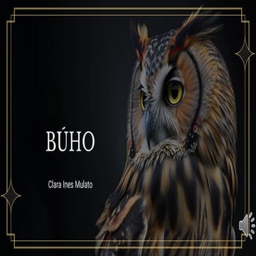 buhos las caracteristicas y sus partes d | PPTX