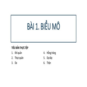 bieu mo | PDF