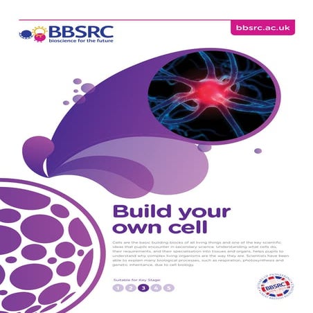 build-your-own-cell-pdf.pdf