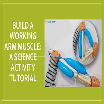Muscular System and LAB powerpoint with lab | PPTX