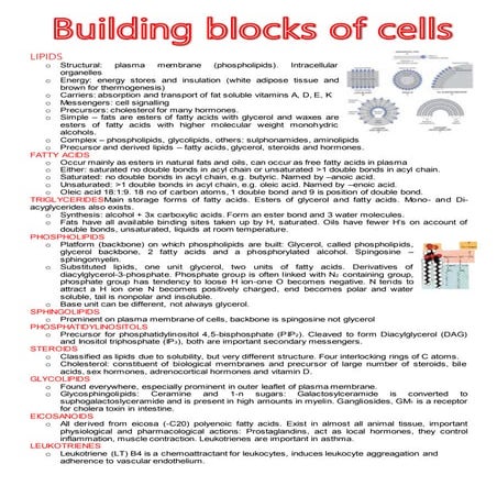 Building blocks of cells | DOCX