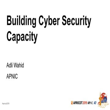Building Cyber Security Capacity | PDF