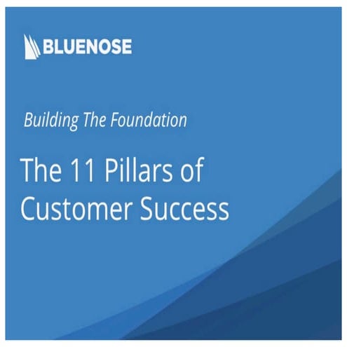 Building The Foundation of Customer Success - The 11 Pillars of ...