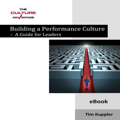 Building A Performance Culture | PDF