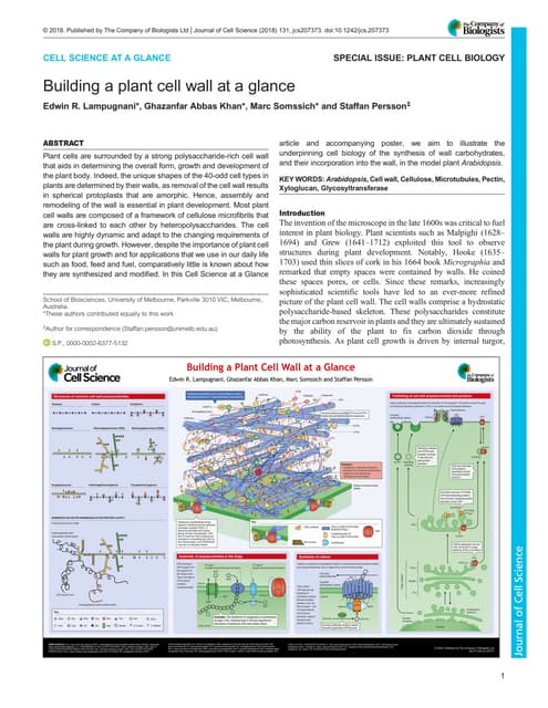 Cell biology of Lignification in plants | PPTX