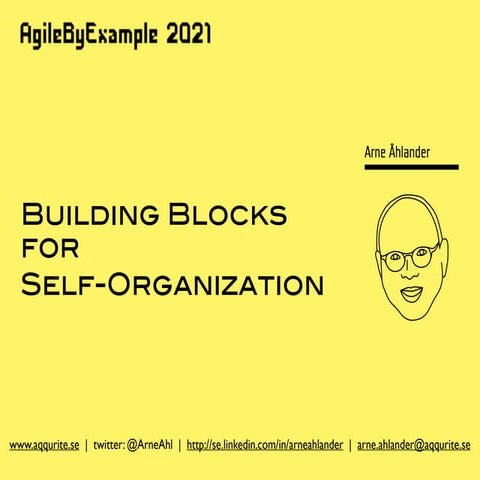 Building Blocks for Self Organization | PDF