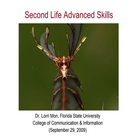 Second Life Advanced Skills | PPT