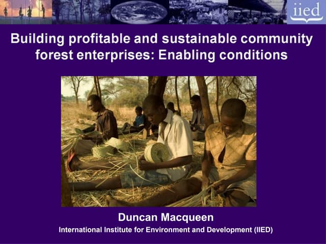Building profitable and sustainable community forest enterprises ...