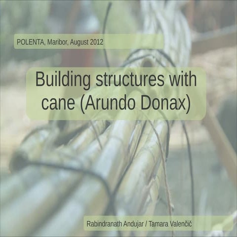 Building structures with cane.pdf