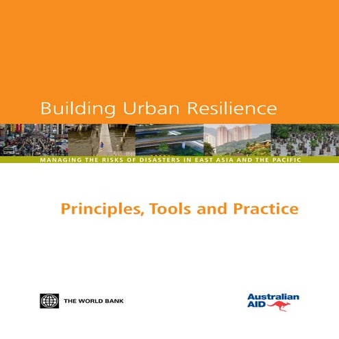 Building urban resilince | PDF