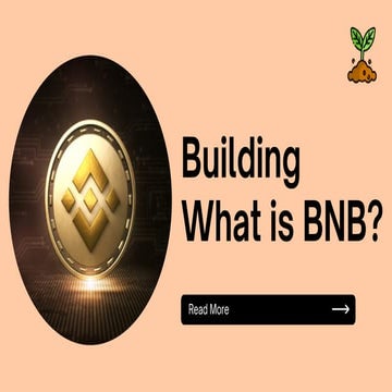 What is BNB? | PDF | Currencies | Economy