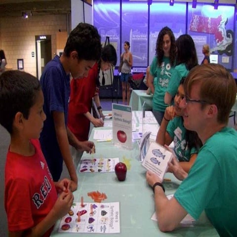 Biology Activity | PDF | Biological Sciences | Science