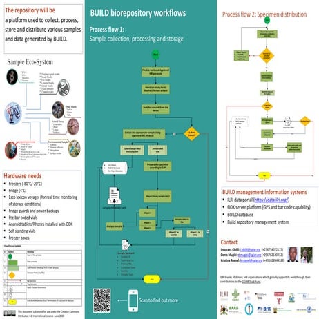 BUILD biorepository workflows | PDF