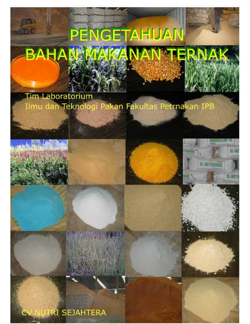 Konsumsi dan kecernaan bahan kering dan bahan organik dalam haylase ...