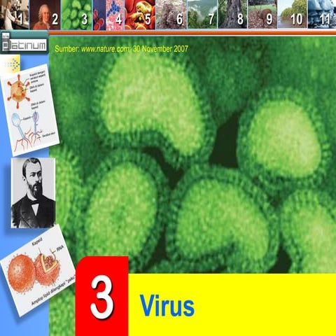 Buku x bab 3 (Virus) | PDF