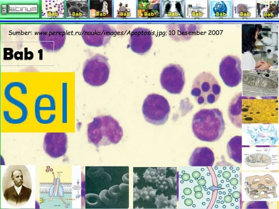 Tabel organel sel 2003 | DOCX