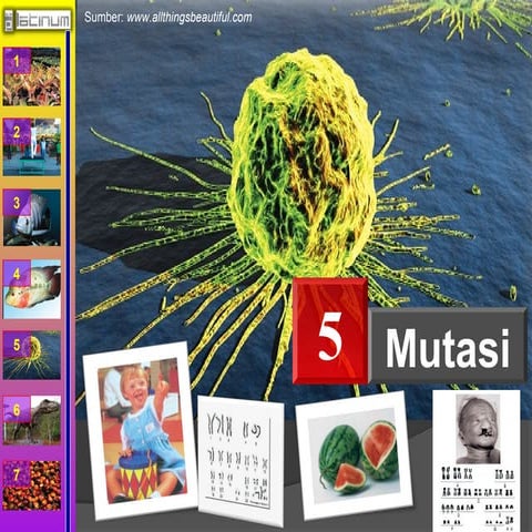 Buku xii bab 5 | PPT