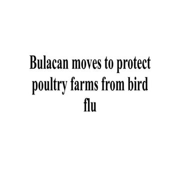 Bulacan Moves To Protect Poultry Farms From Bird Pptx