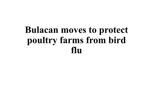 Bulacan Moves To Protect Poultry Farms From Bird Pptx