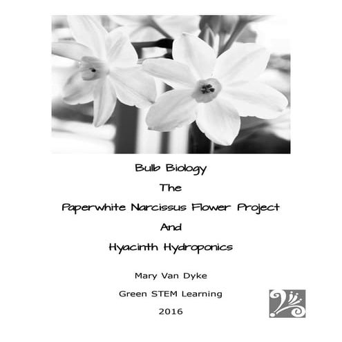 Bulb Biology, The Paperwhite Narcissus Flower Project And Hyacinth ...