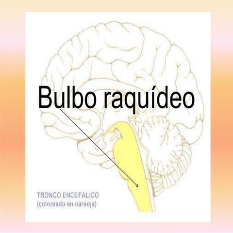 bulboraqudeo-160906033402-convertido.pptx