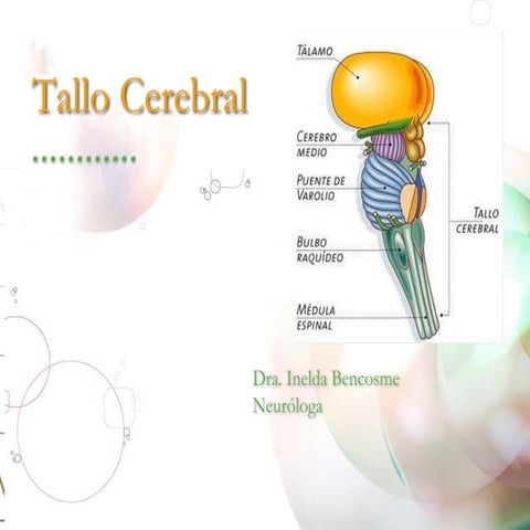 Bulbo teoria (2).pdf