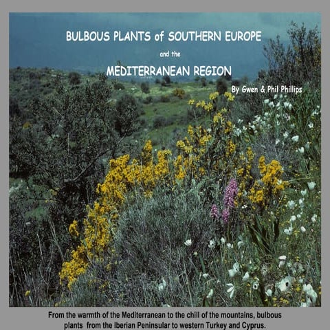 Bulbous Plants of Southern Europe and the Mediterranean Region | PPT
