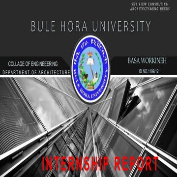 BULE HORA UNIVERSITY ppdf.pptx