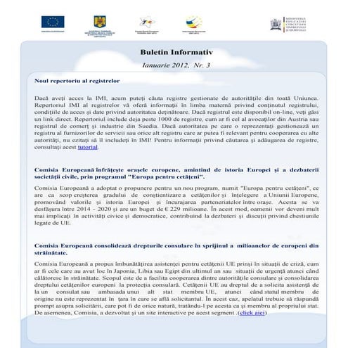 Buletin informativ IMI PQ NET nr.3 | PDF